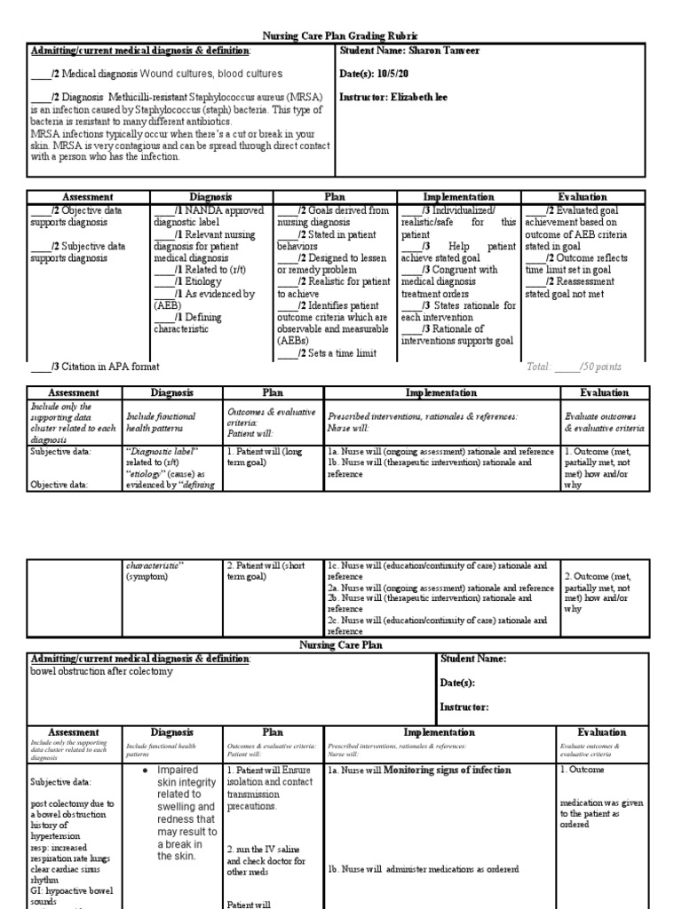 Nursing Care Plan Template and Grading Rubric | Unduh gratis PDF ...