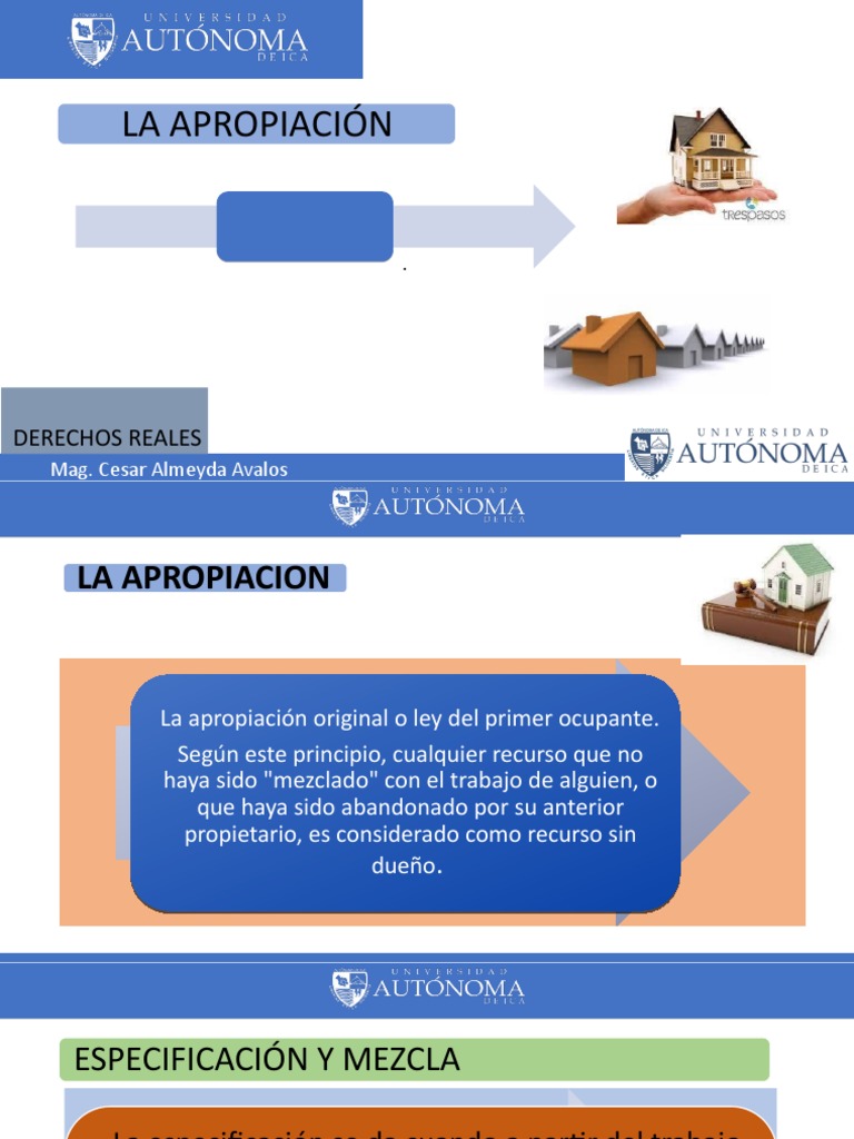 La Apropiación | PDF | Propiedad | Posesión (Ley)