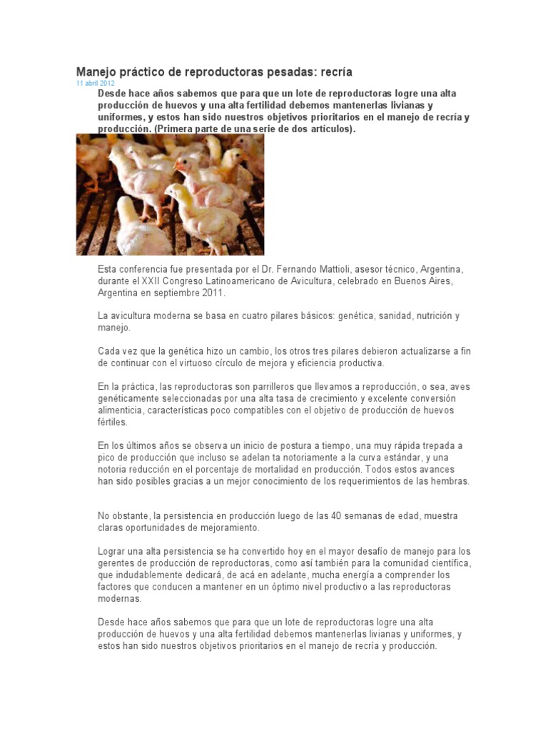 Manejo Práctico de Reproductoras Pesadas | PDF | Aves | Caloría