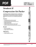 Packer Dual Weatherford AROWDRILL | PDF | Equipment | Manufactured Goods
