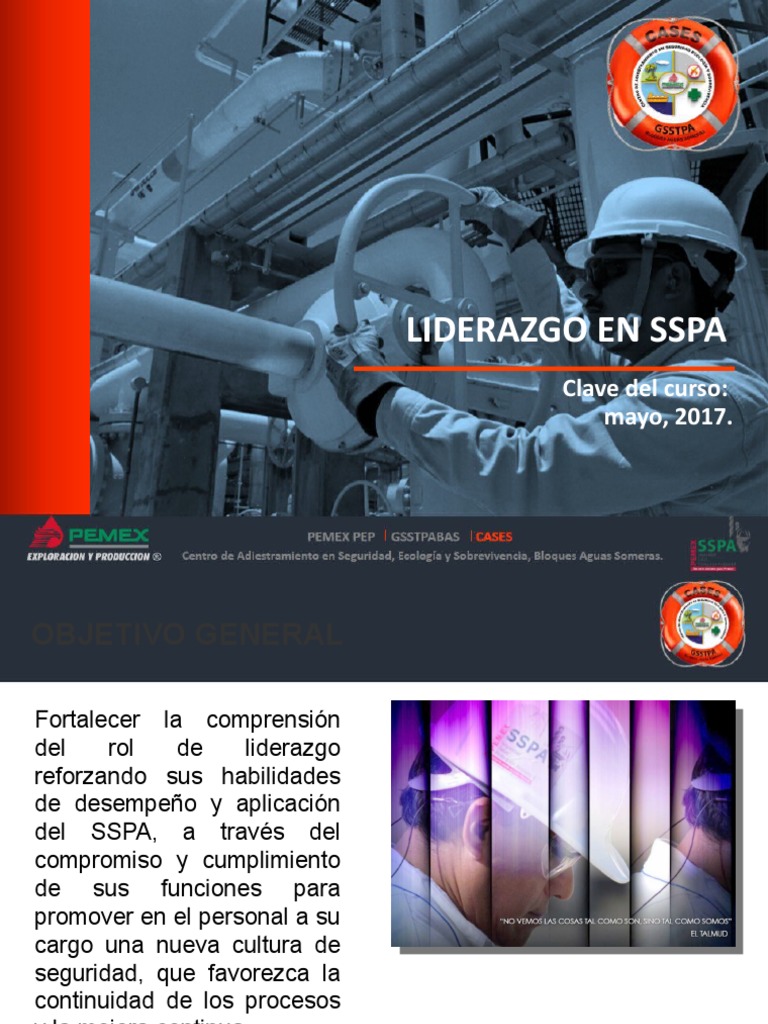 Liderazgo en SSPA | PDF | Liderazgo | Empresas