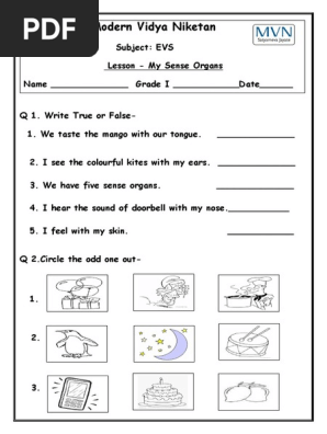 Sense Organ Worksheets Discover 7 Five Senses Worksheets And Five