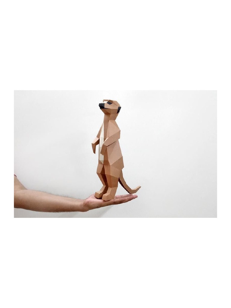 Suricata | PDF | Language Arts & Discipline | Wellness