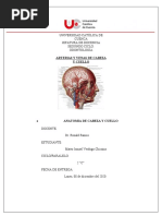 Anatomia Topografica de Cabeza y Cuello | PDF | Cráneo | Sistema esquelético