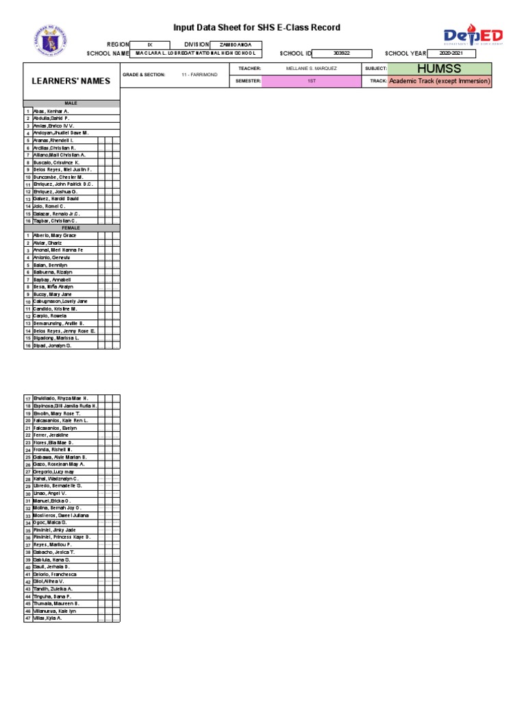 SHS E-Class Record Input Data | PDF
