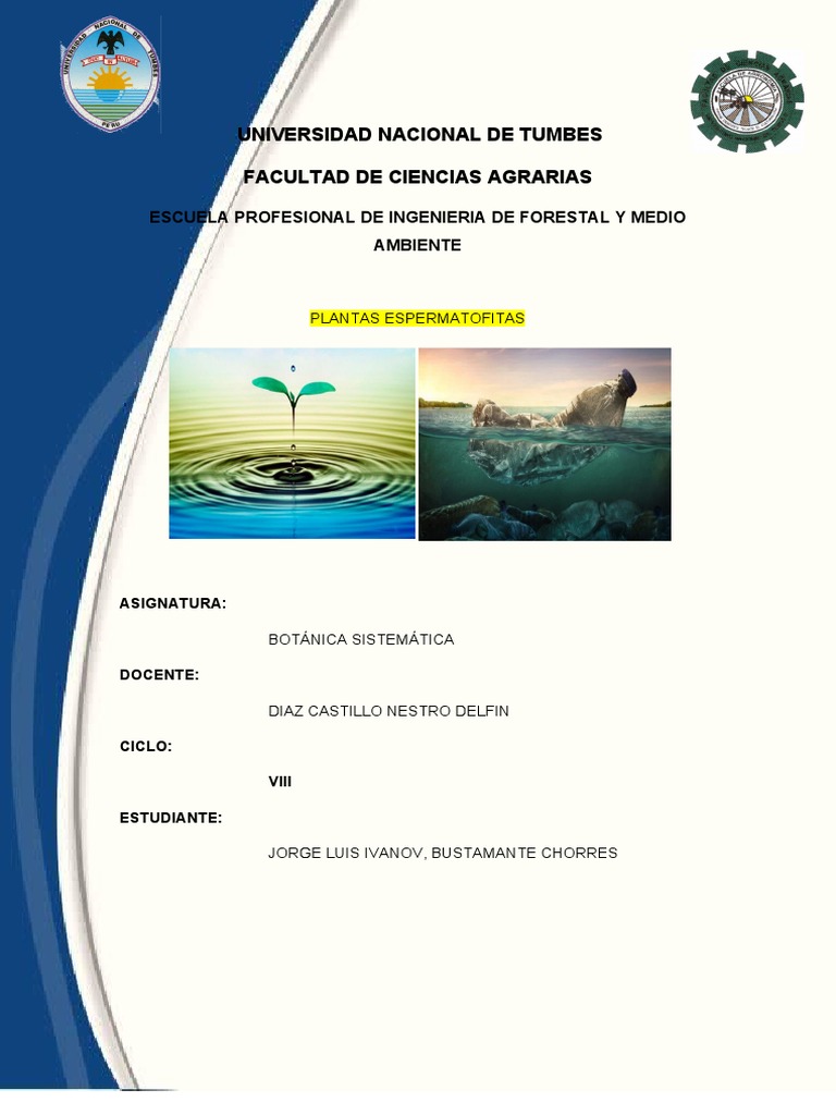 Plantas Espermatofitas | PDF