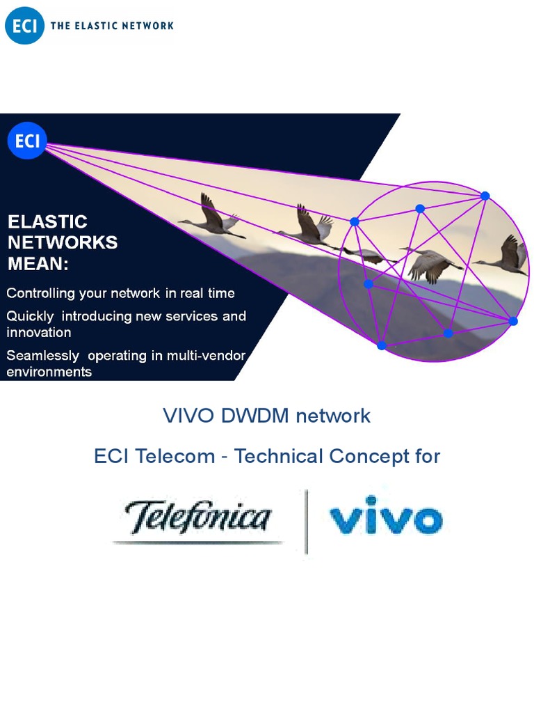 ECI Telecom - Technical Concept For VIVO DWDM Network | PDF ...