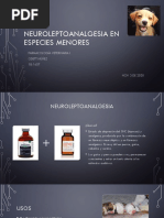 Técnica FAST y AFAST en Veterinaria - Todo Lo Que Debes Saber ...