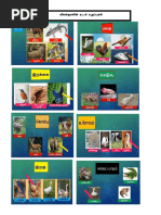 Science Experiments Tamil - STD1 - Edited Version | PDF