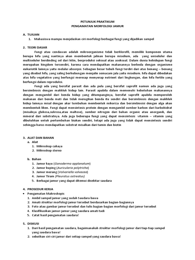 Laporan Praktikum 1 Mikologi Anisa | PDF