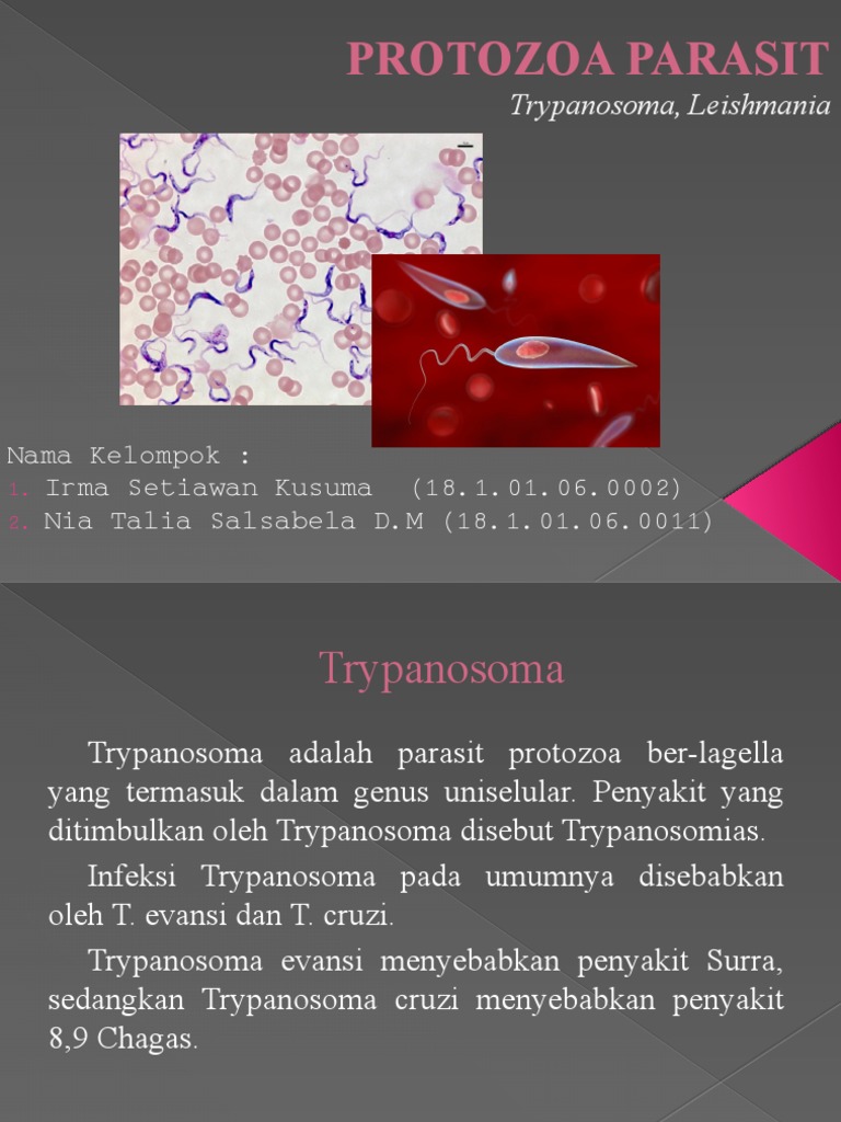 Parasitologi | PDF