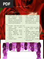 Science Experiments Tamil - STD1 - Edited Version | PDF