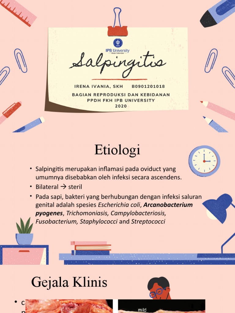 Salpingitis PPDH Reproduksi | PDF | Sains & Matematika