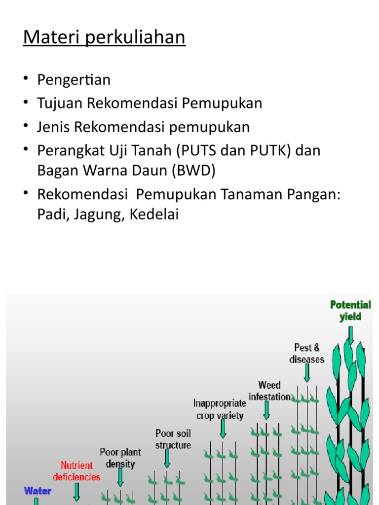 Rekomendasi Pemupukan Tanaman Padi | PDF | Teknologi & Rekayasa