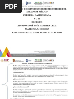 Evolución de Negrito a Nito Bimbo | PDF | México | Marca