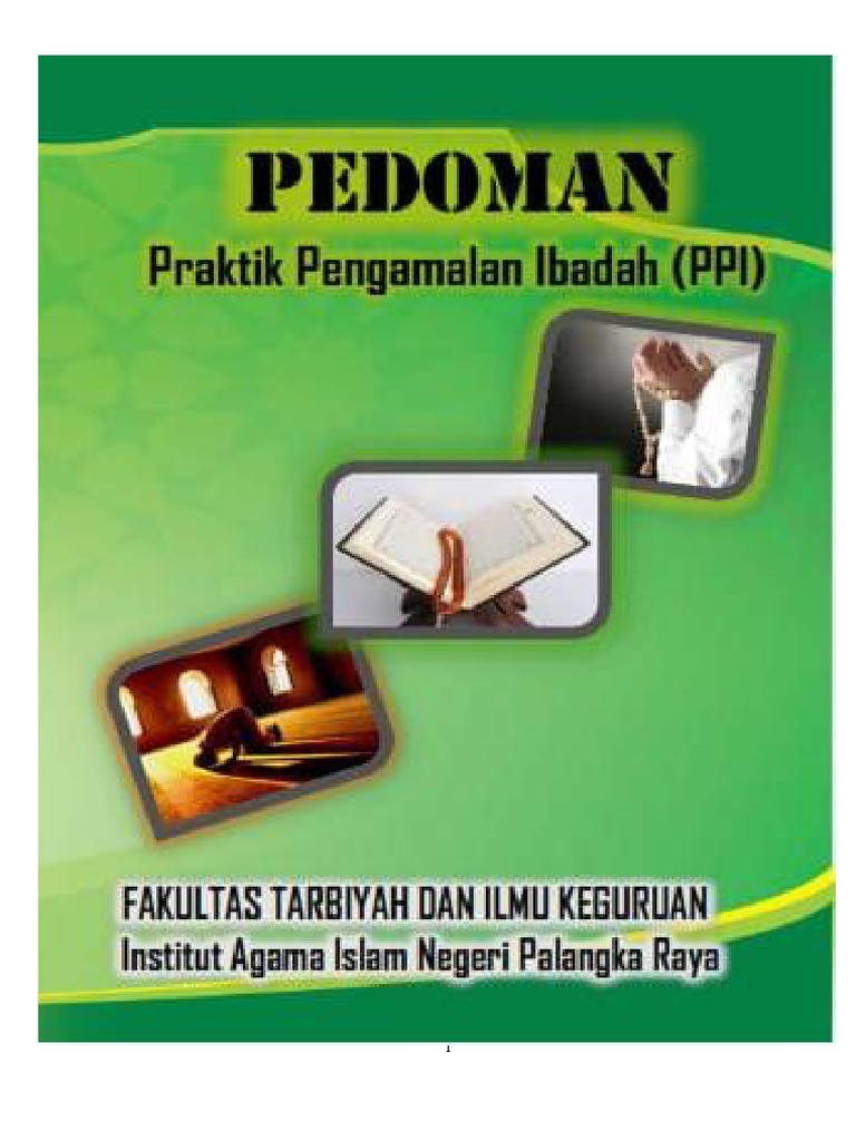 Buku Pedoman PPI | PDF