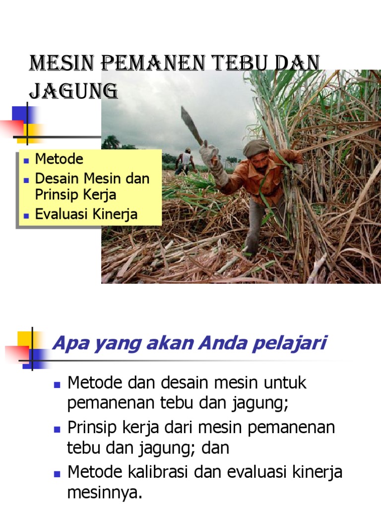 Materi 7 MP 2. Pemanen Tebu | PDF