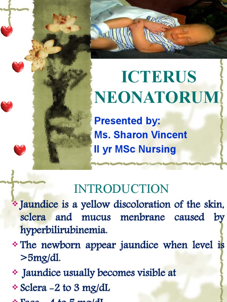 Understanding Neonatal Icterus | PDF | Medical Specialties | Diseases ...