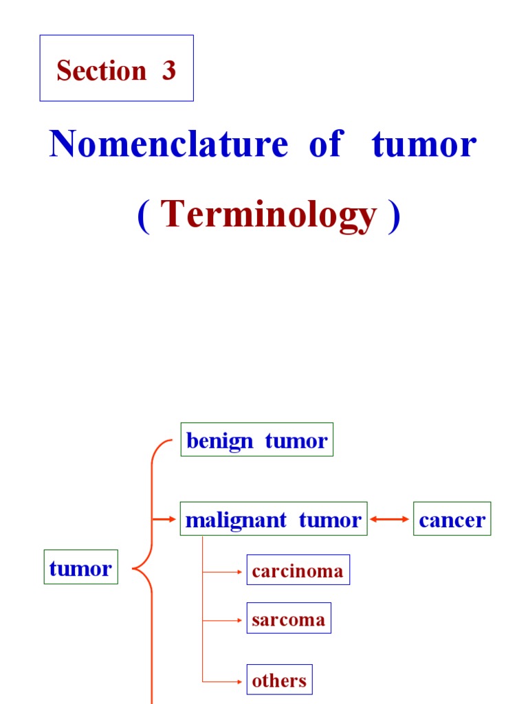 Tumor Nomenclature and Classification | PDF | Neoplasms | Carcinoma