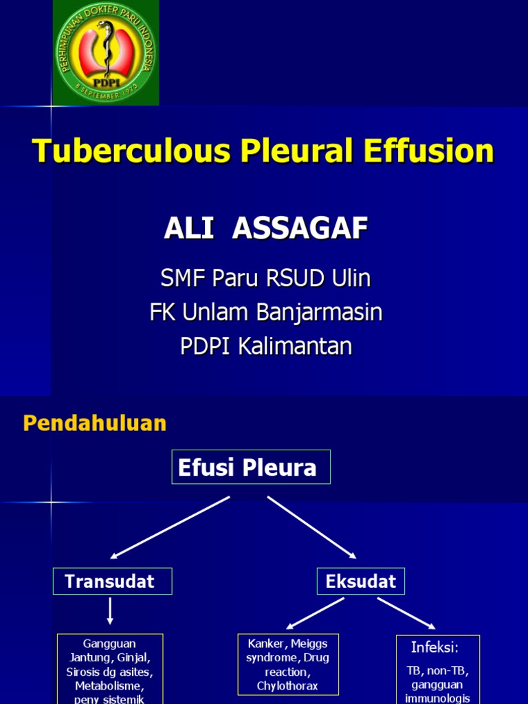 Efusi Pleura TB | PDF | Medical Specialties | Pulmonology