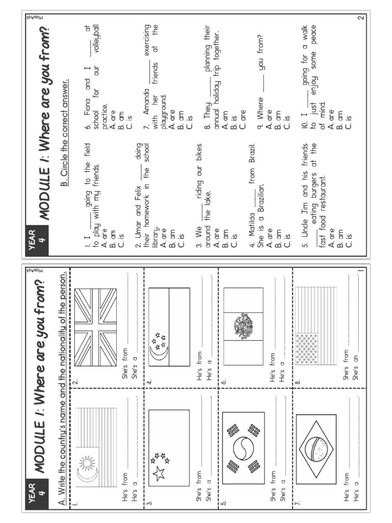 Year 4 English Writing Worksheet | PDF