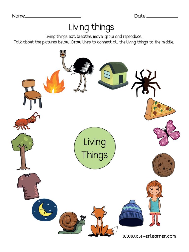 Living and Non Living Things Kindergarten Sheets | PDF