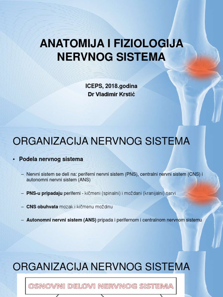 Anatomija I Fiziologija Nervnog Sistema DR Krstic Vladimir | PDF