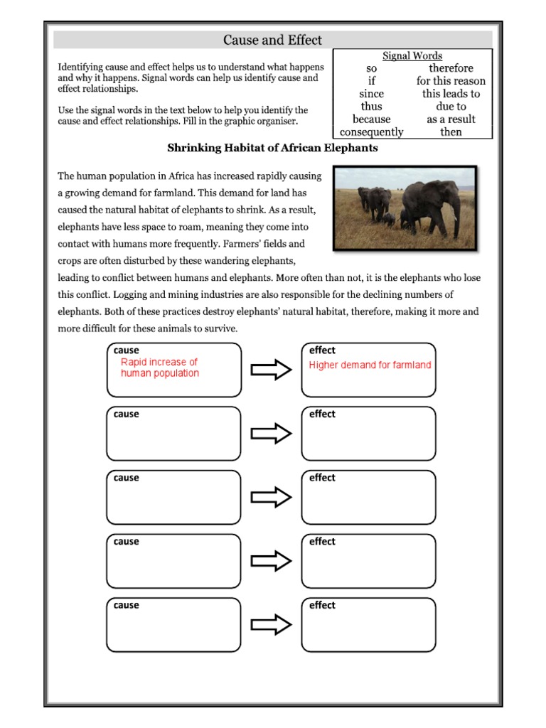 Cause and Effect | PDF