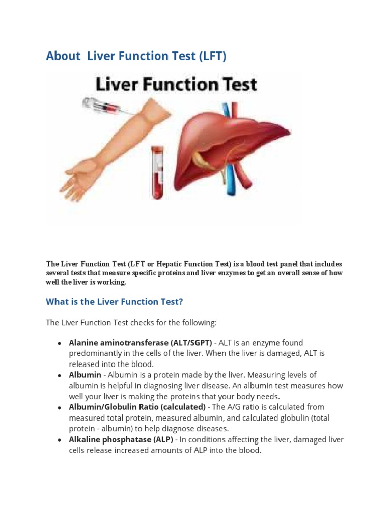 About Liver Function Test | PDF | Alanine Transaminase | Organ (Anatomy)