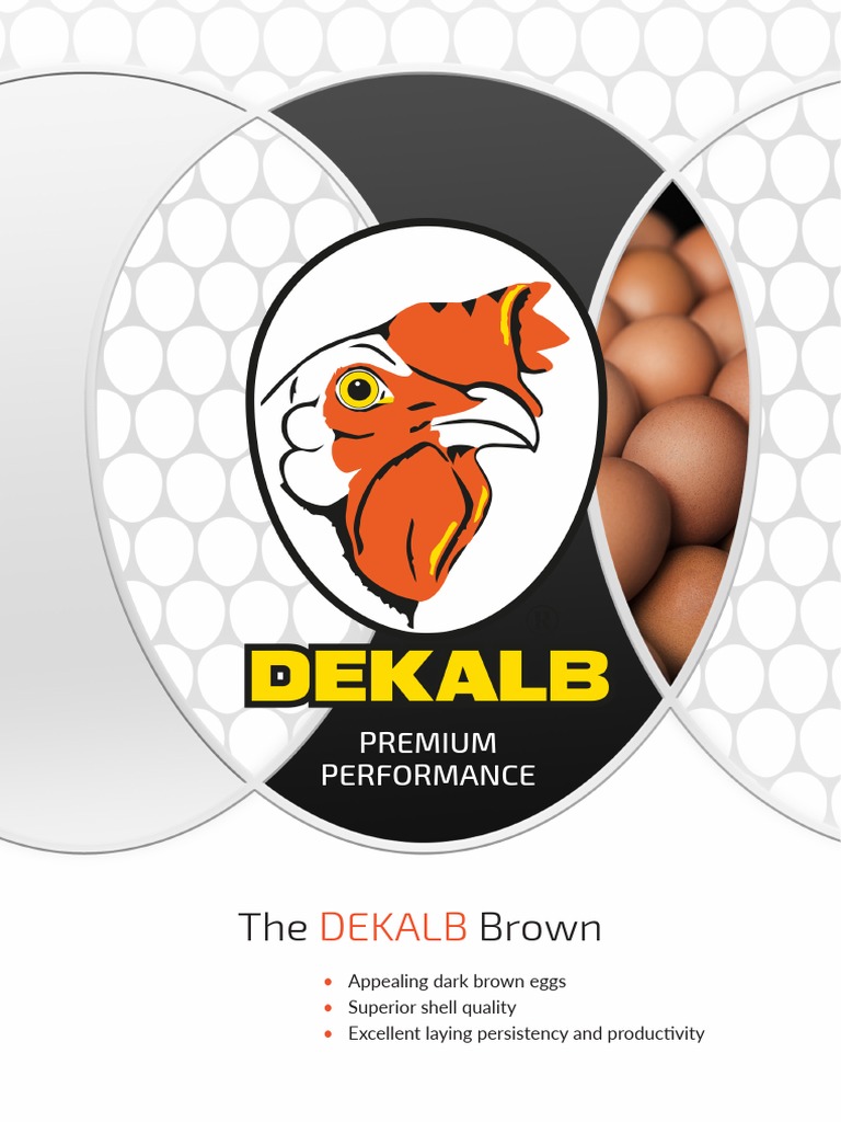 Dekalb Brown CS Cage English Leaflet | PDF | Poultry Farming | Poultry