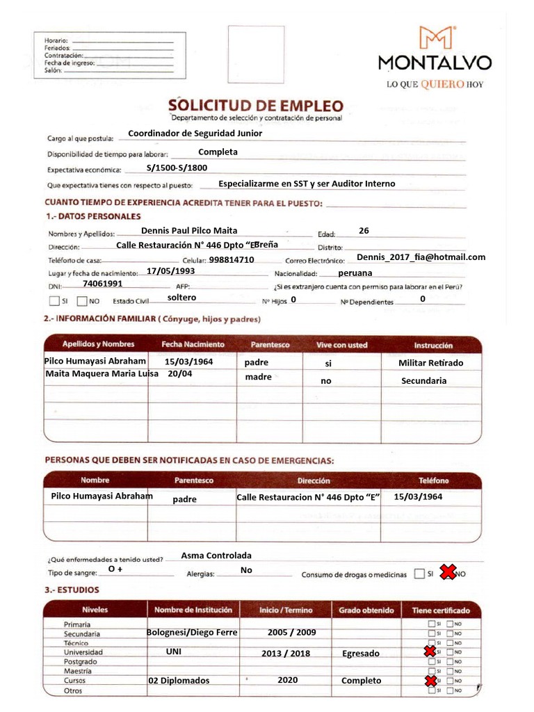 Solicitud de Empleo | PDF