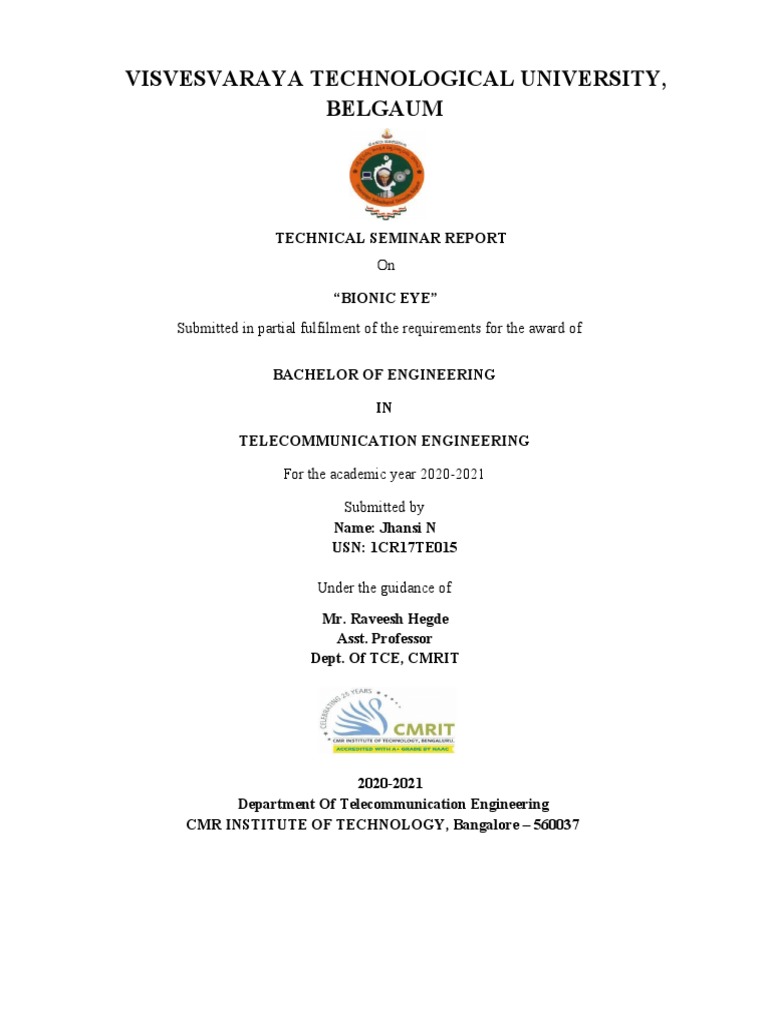 Bionic Eye Report | PDF | Visual Acuity | Retina