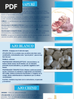 Sacha Culantro | PDF | Hierbas y especias | Alimentos