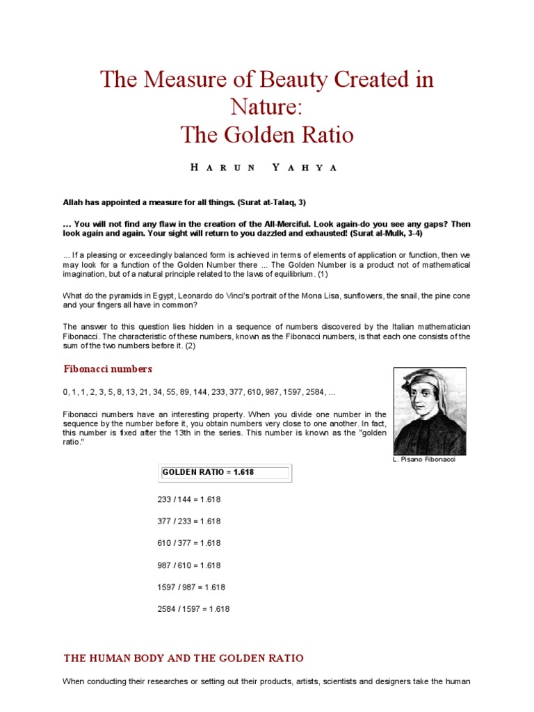 The - Measure - of - Beauty - Reated - in - Nature | PDF | Hand | Shape