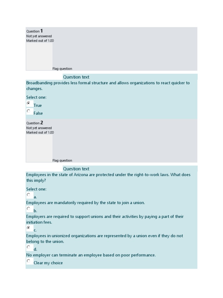 Human Resource Management Final Exam | PDF | Employment | Validity (Statistics)