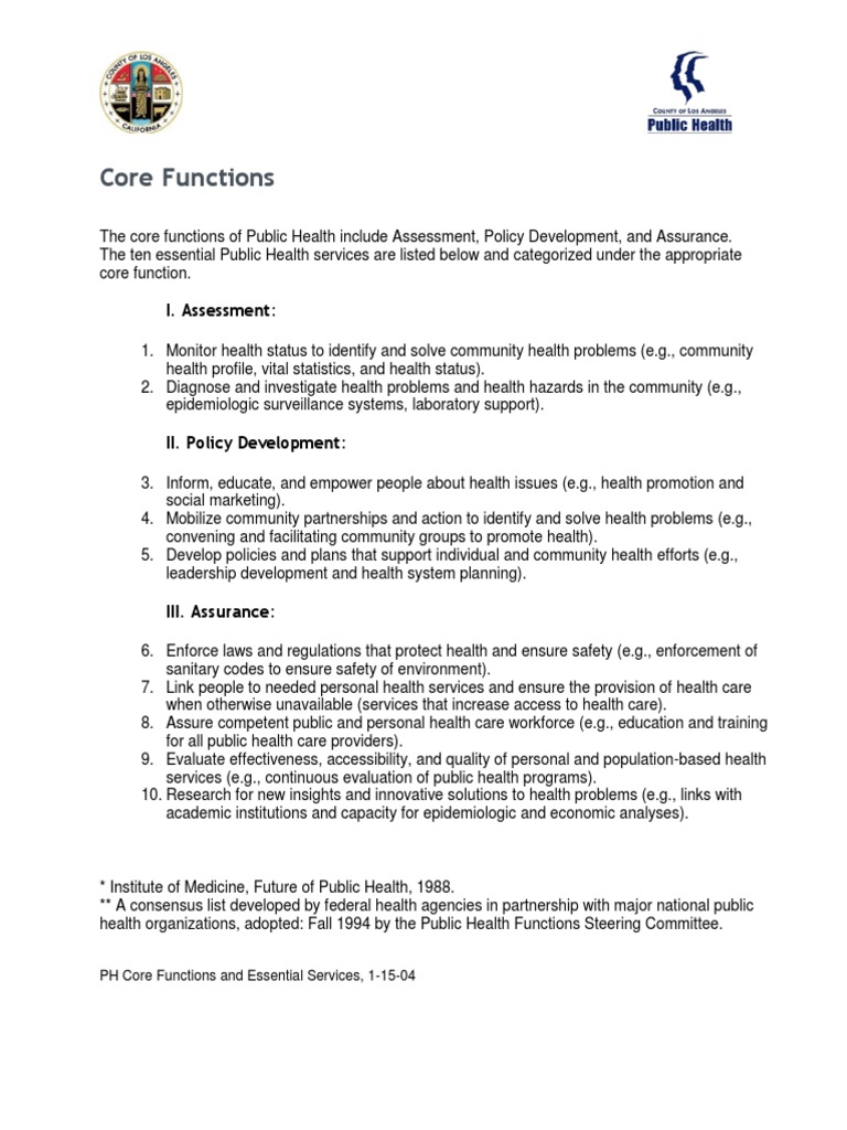 Core Functions: I. Assessment | PDF