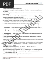 Matrices Basic Concepts | PDF | Matrix (Mathematics) | Functional Analysis