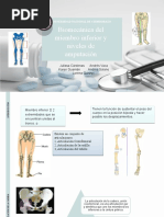 Eficacia del Drenaje Autógeno en Fisioterapia | PDF | Sistema ...