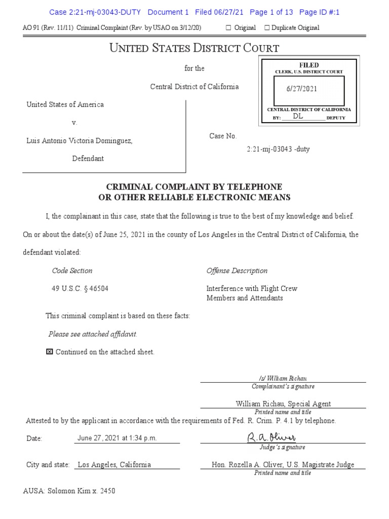 Lax Passenger Complaint | PDF | Special Agent | Affidavit