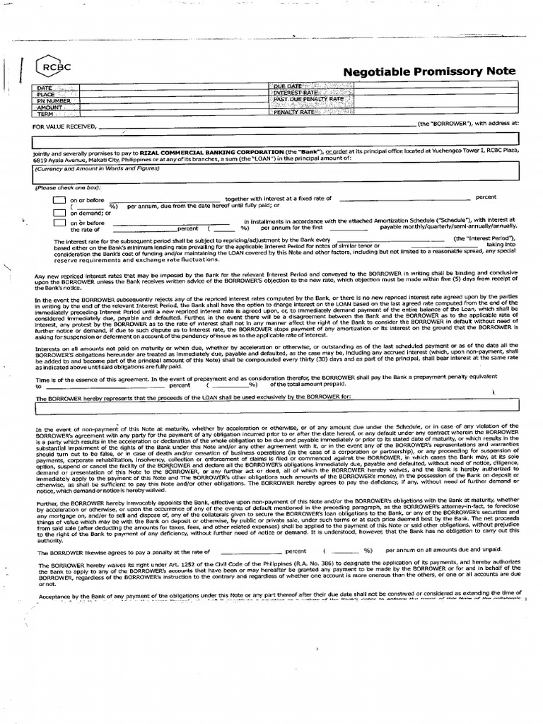 Promissory Note Disclosure Statement (PNDS) - Scanned | PDF