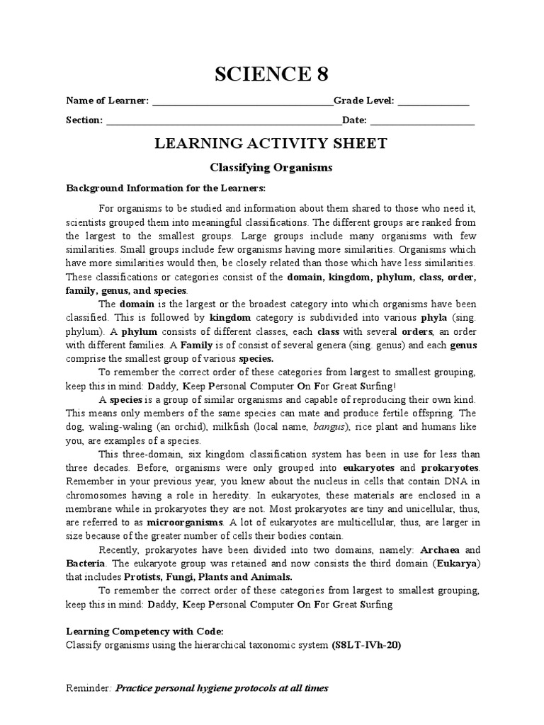Grade 8 Science: Organism Classification Activities | PDF | Eukaryotes ...