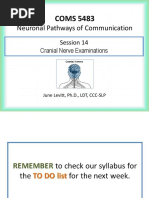 Cranial Nerve Assessment | PDF | Nervous System | Human Head And Neck