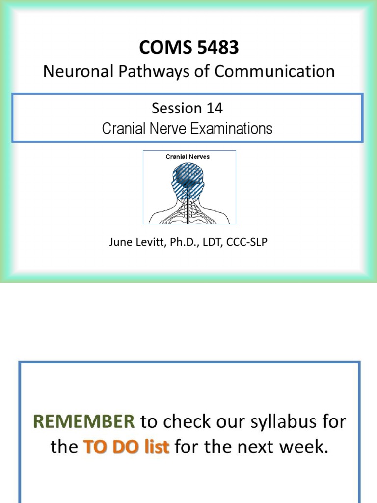 S14-CN Exam - REVIEW For FINAL-F20-BB-1202 | PDF | Brainstem | Senses