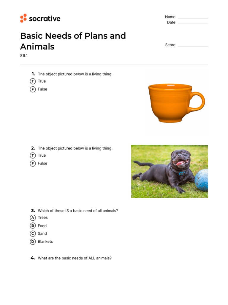 Quiz Basic Needs of Plans and Animals | PDF | Language Arts & Discipline