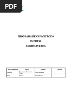 Procedimiento de Capacitacion y Entrenamiento | PDF | Creación de capacidad | Factores humanos y ...