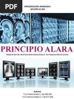 Principio ALARA en Protección Radiológica | PDF | Planificación ...