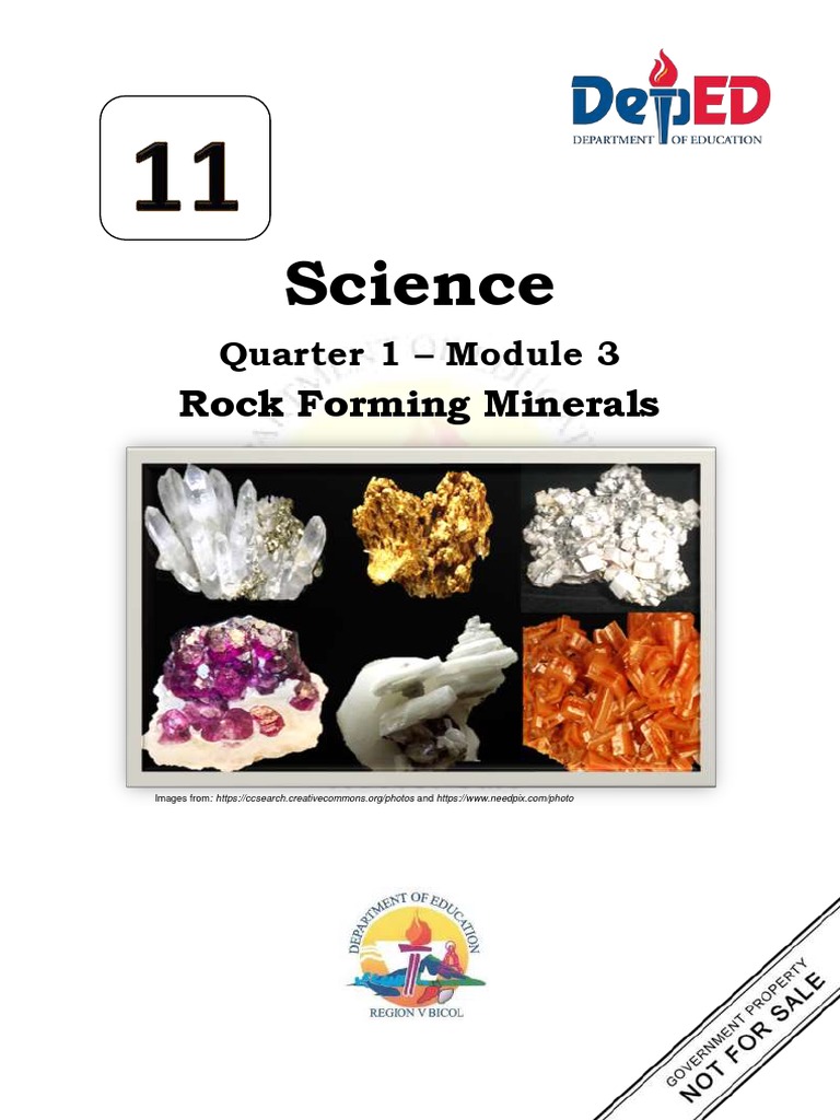 3 Core Subject Science 11 Earth Life Science Q1 Module 3 1 | PDF ...