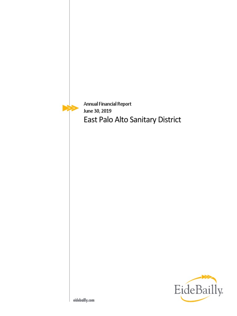 2019 Audited Financial Statement | PDF | Audit | Financial Statement