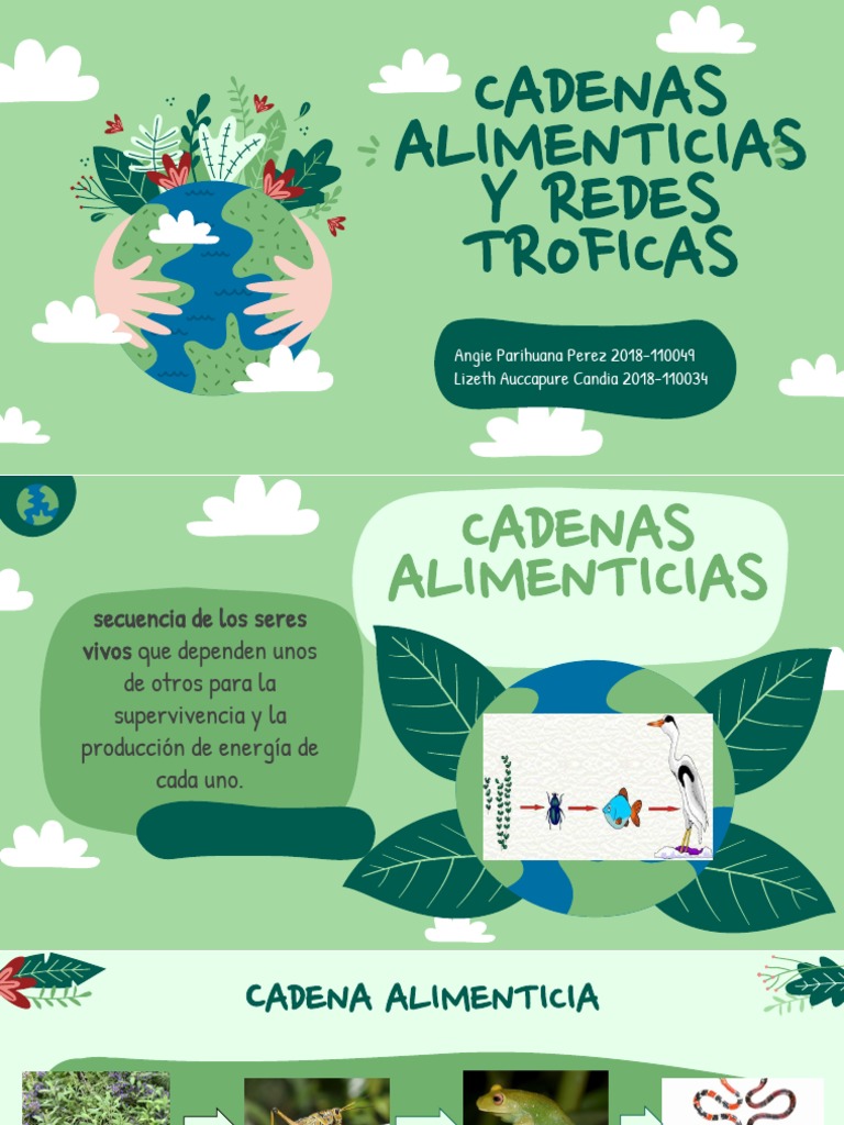 Cadenas Alimenticias y Redes Troficas | PDF