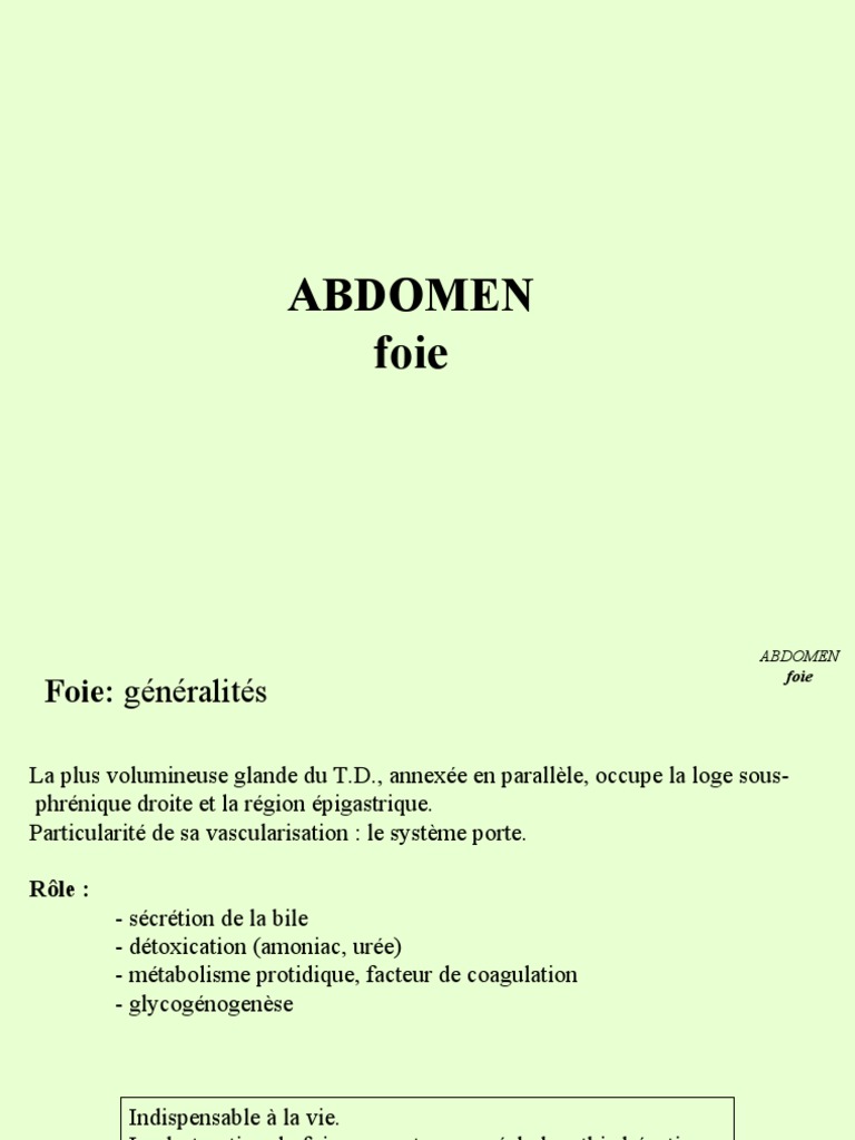 Vascularisation Digestive | PDF | Foie | Appareil digestif